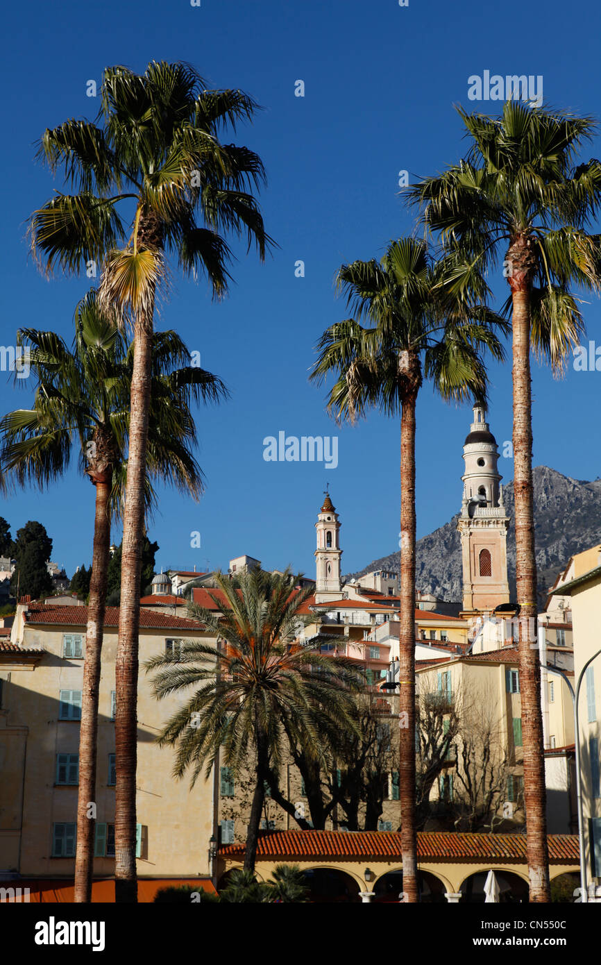 France, Alpes Maritimes, Menton, palm tree and church steeple Stock ...