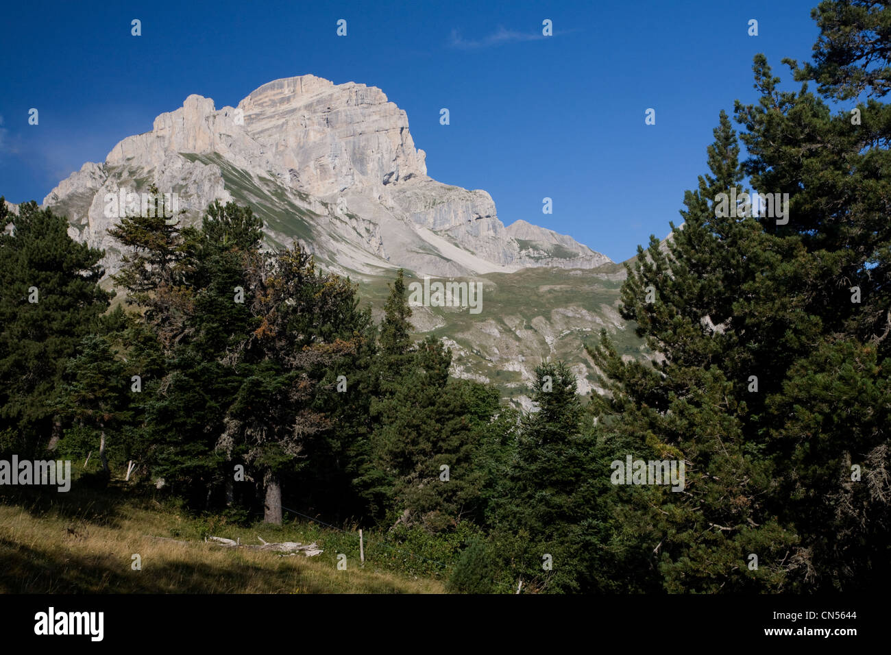 Grande tete de by hi-res stock photography and images - Alamy