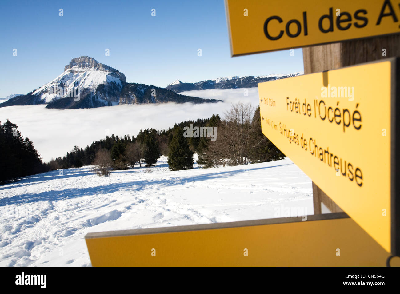 Chartreuse board hi-res stock photography and images - Alamy