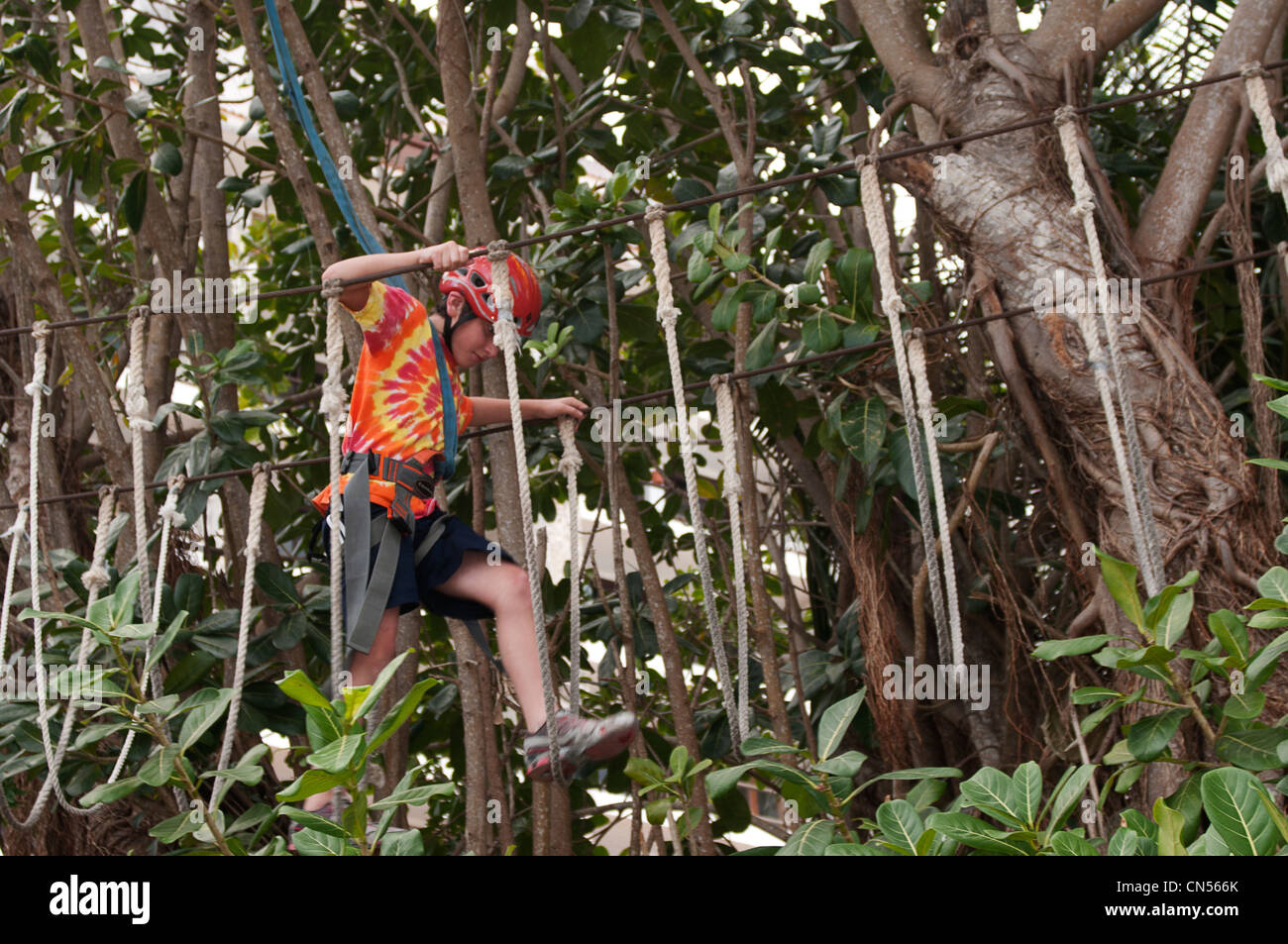 rock climbing and rappelling ropes course Stock Photo - Alamy