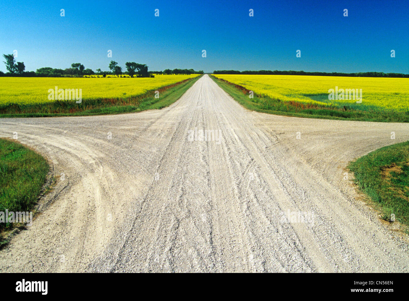 Intersection in a Gravel Road, Niverville ,Manitoba Stock Photo - Alamy