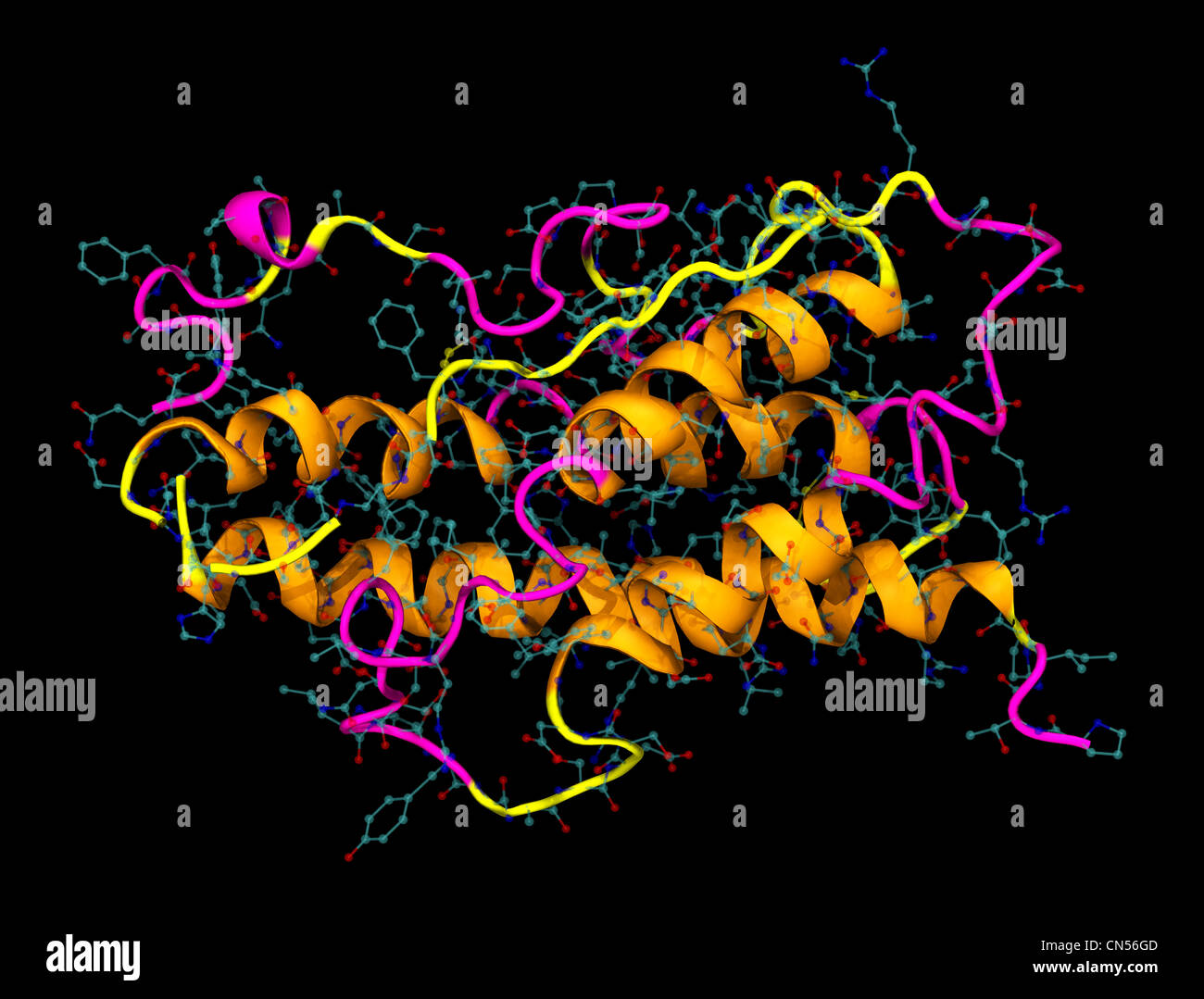 3D molecular model of human growth hormone Stock Photo - Alamy