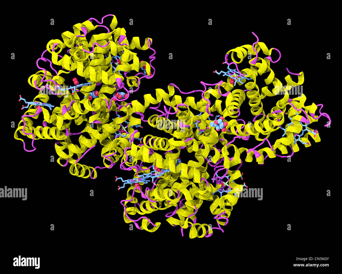 Glycosylated (or glycated) hemoglobin (hemoglobin A1c, or HbA1c Stock ... Glycosylated (or glycated) hemoglobin (hemoglobin A1c, or HbA1c Stock ...