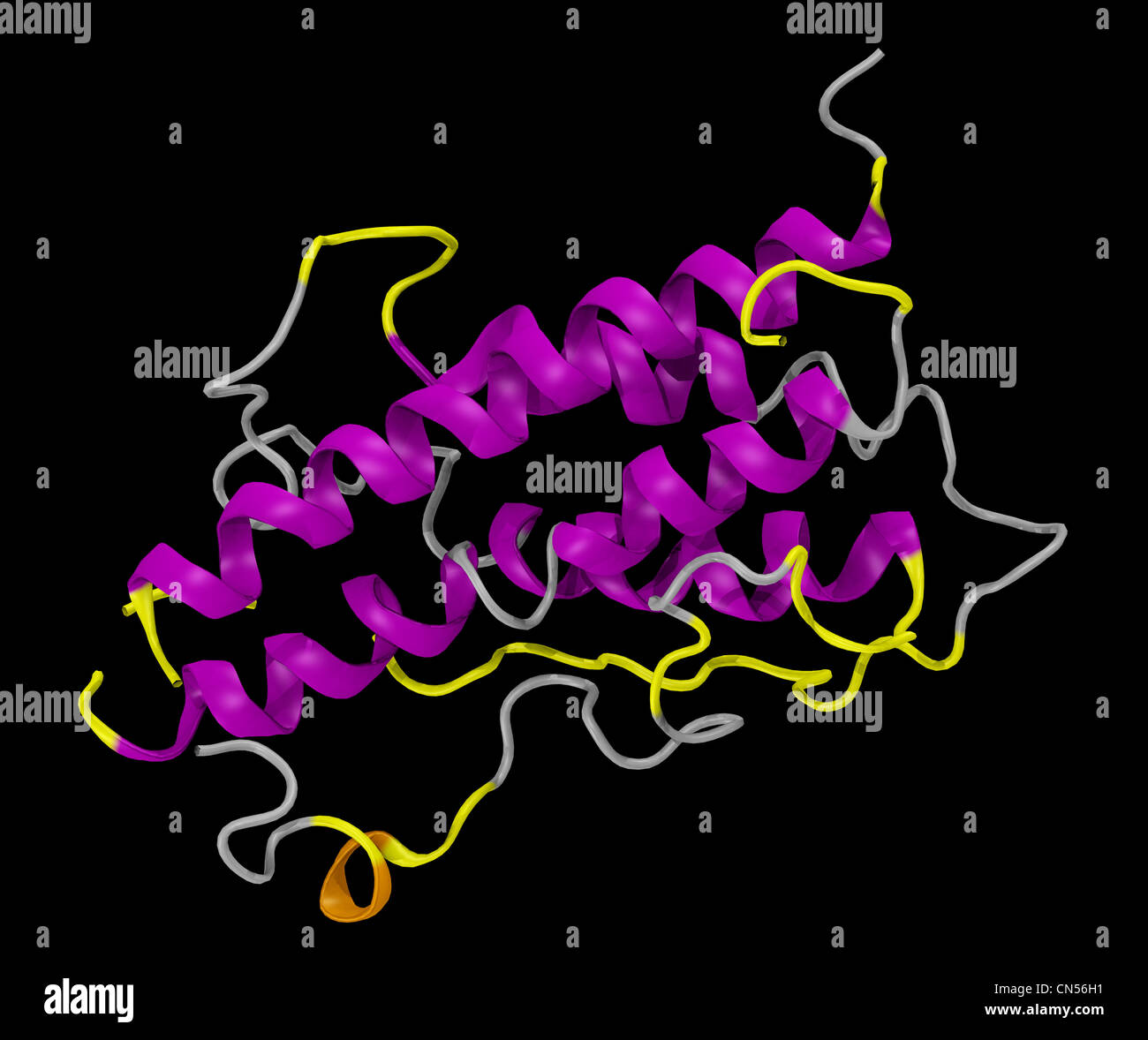 3D molecular model of human growth hormone Stock Photo - Alamy