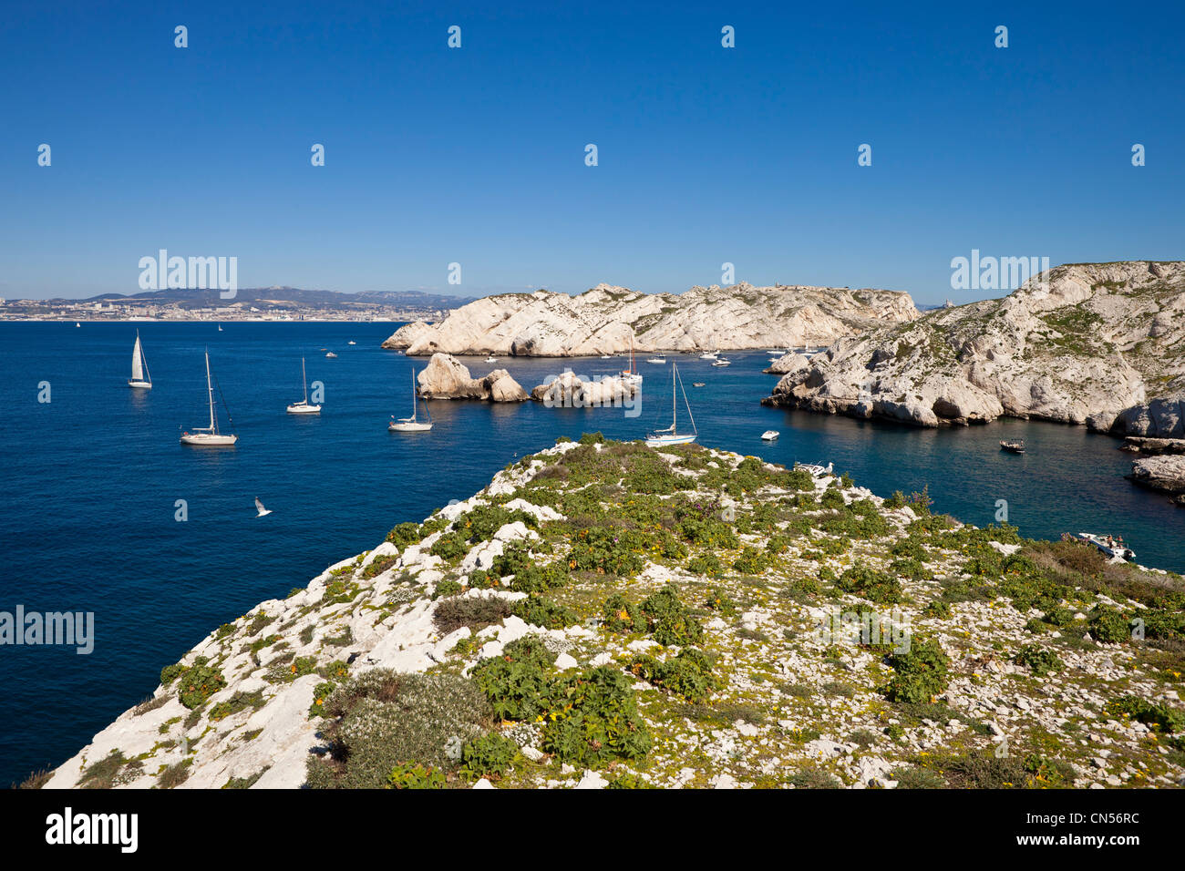 France, Bouches du Rhone, Marseille, Archipel du Frioul, Ile Ratonneau ...