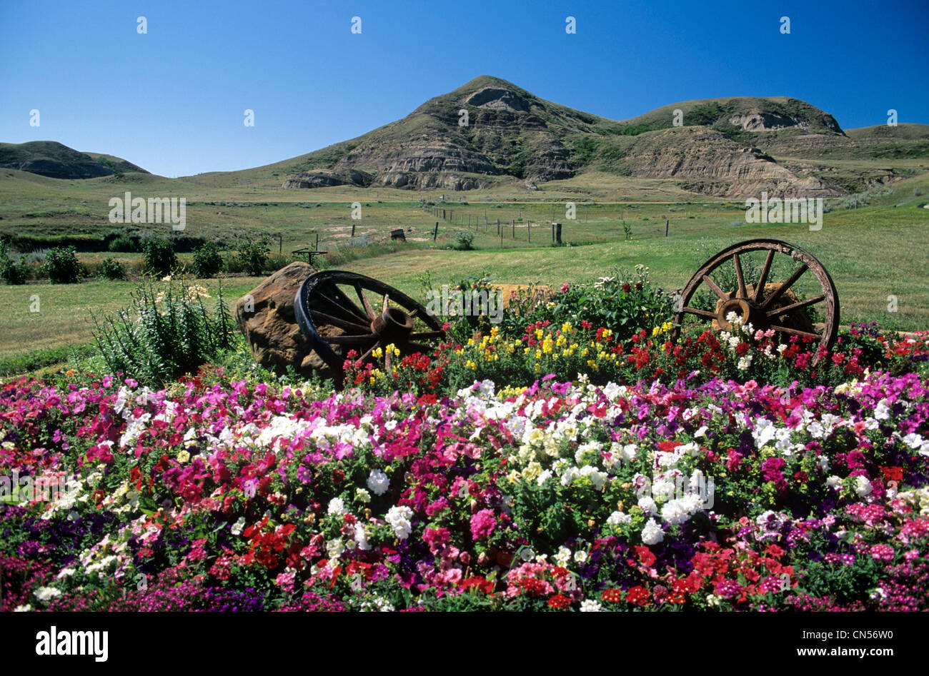 Flower Garden, Big Muddy Badlands, Saskatchewan Stock Photo - Alamy