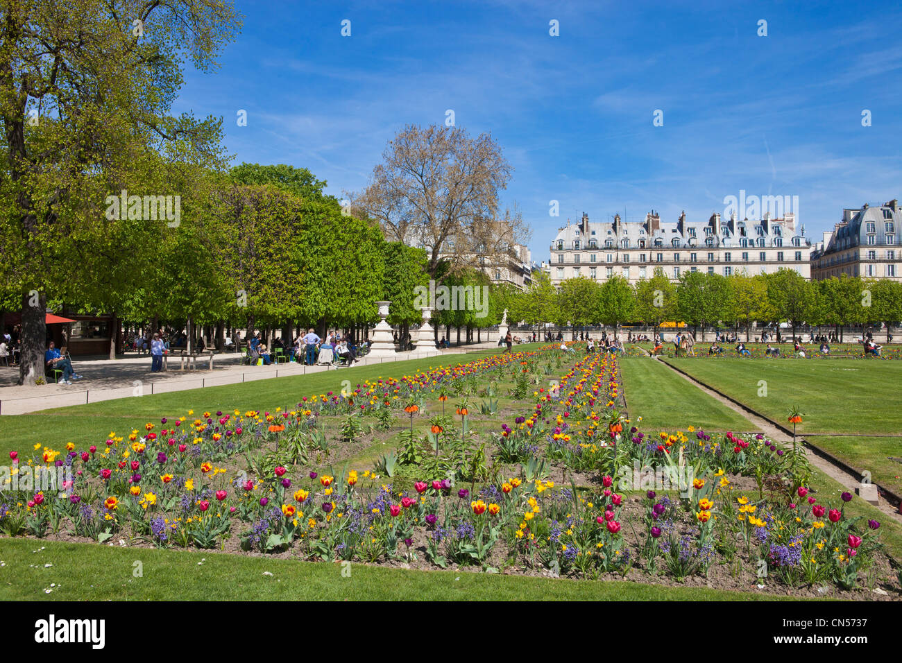 France, Paris, the Tuileries gardens Stock Photo - Alamy