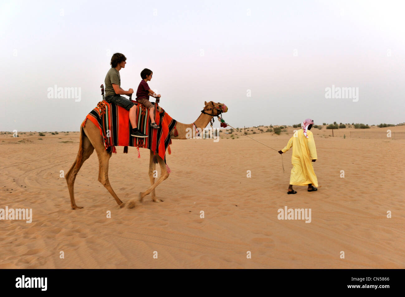 Camel boy dubai hi-res stock photography and images - Alamy