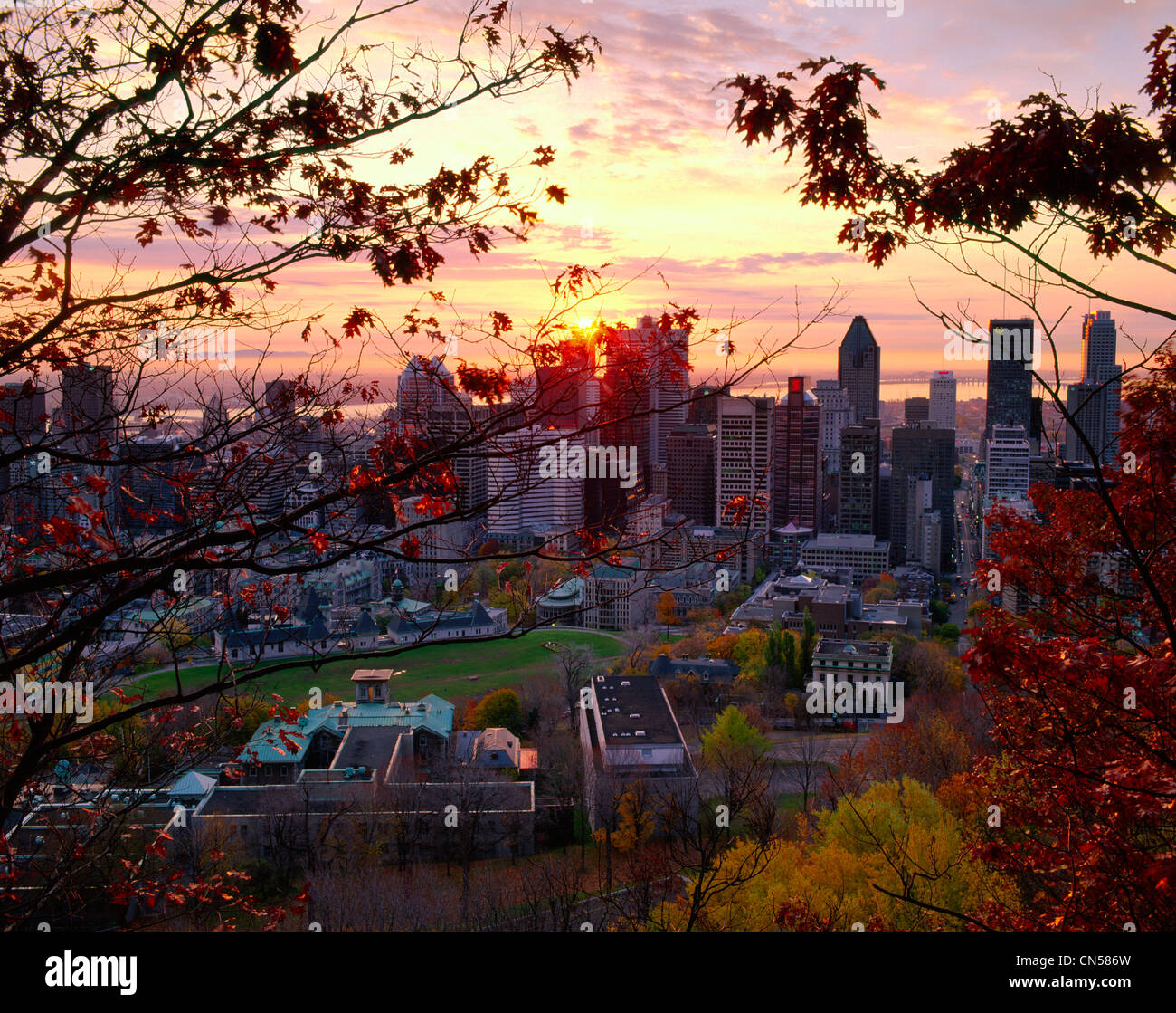View of Mount-Royal Park and Downtown at Sunrise, Montreal, Quebec ...