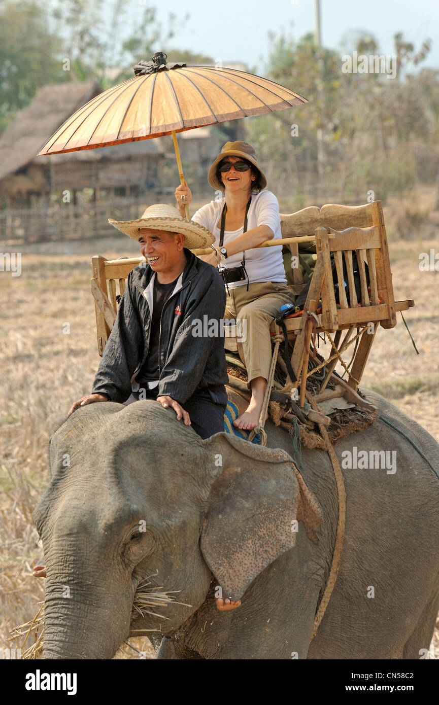 Elephant palanquin hi-res stock photography and images - Alamy