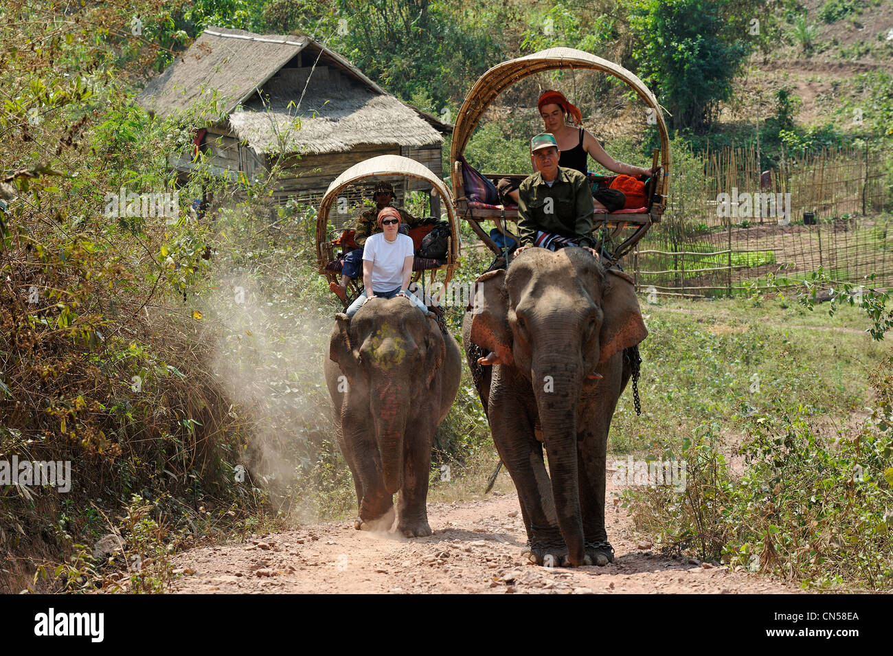 Elephant palanquin hi-res stock photography and images - Alamy