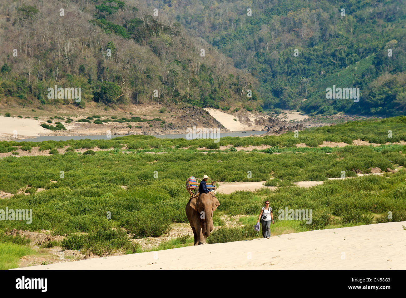 Laos, Sainyabuli Province, Mekong River, trek on elephant back, walking ...