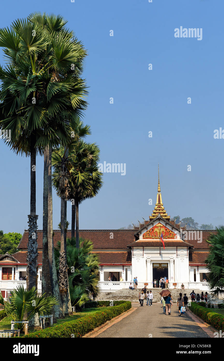 National tree of laos hi-res stock photography and images - Alamy