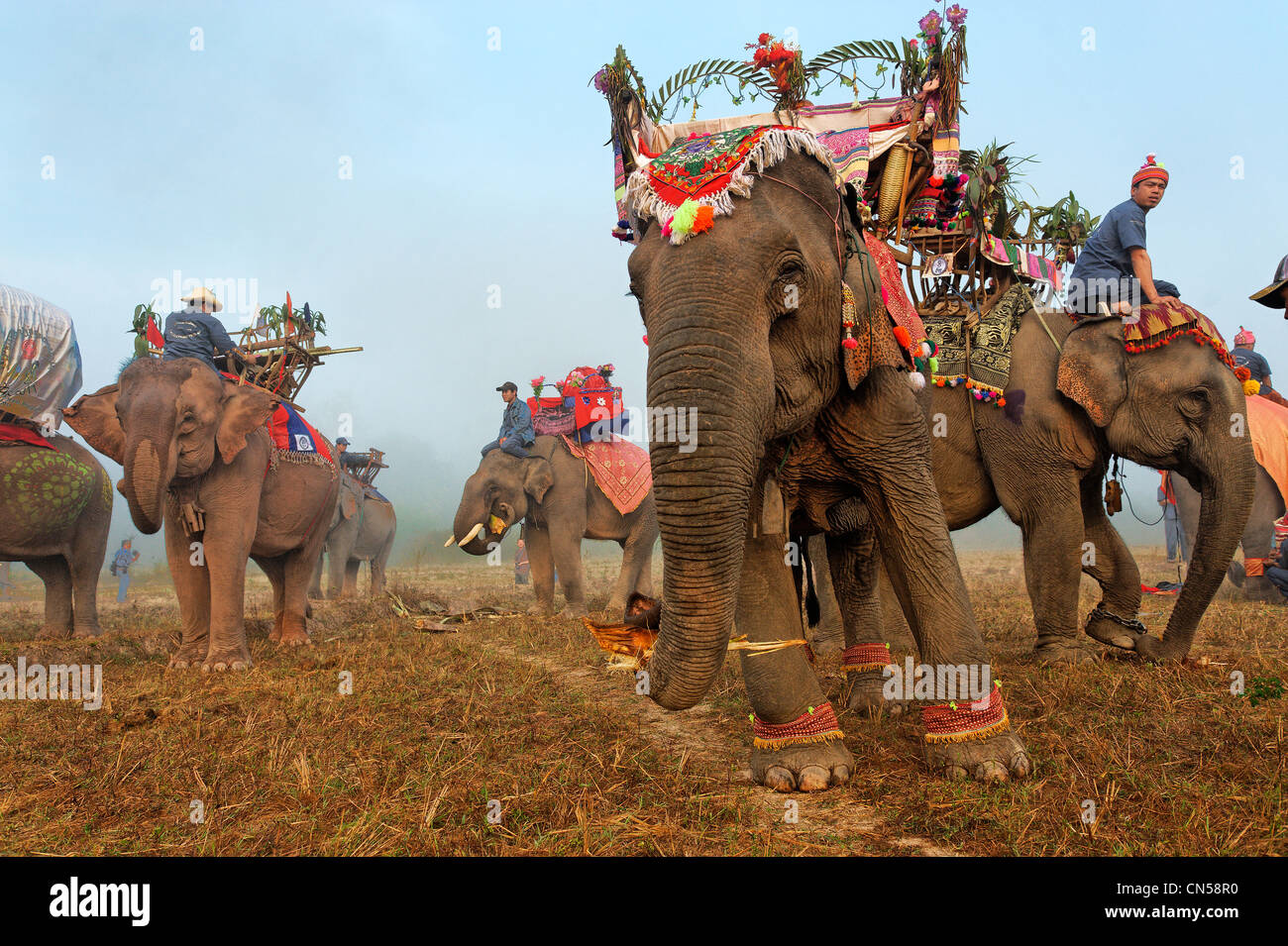 Laos, Sainyabuli Province, Hongsa, Elephant Festival, preparation of ...