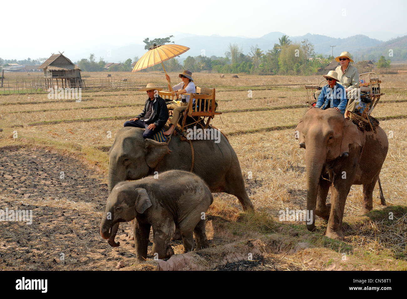 Elephant Caravan High Resolution Stock Photography and Images - Alamy