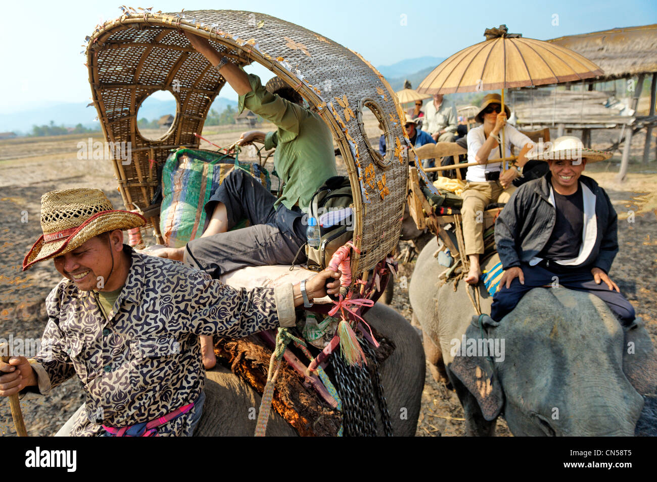 Laos, Sainyabuli Province, Hongsa, caravan of elephants in the rice ...