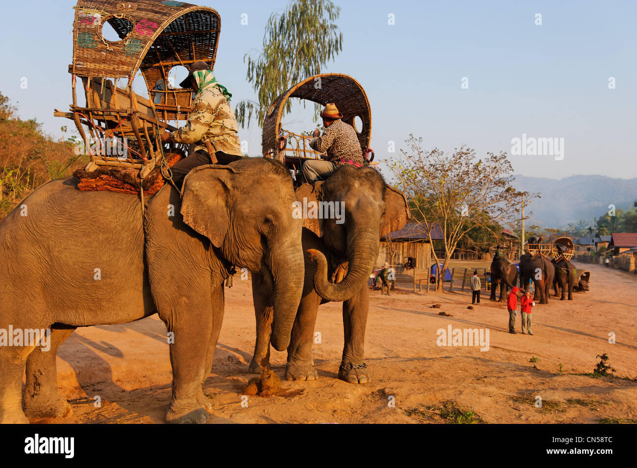 Elephant palanquin hi-res stock photography and images - Alamy