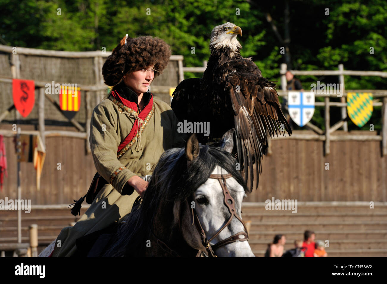 Les falconer hi-res stock photography and images - Alamy
