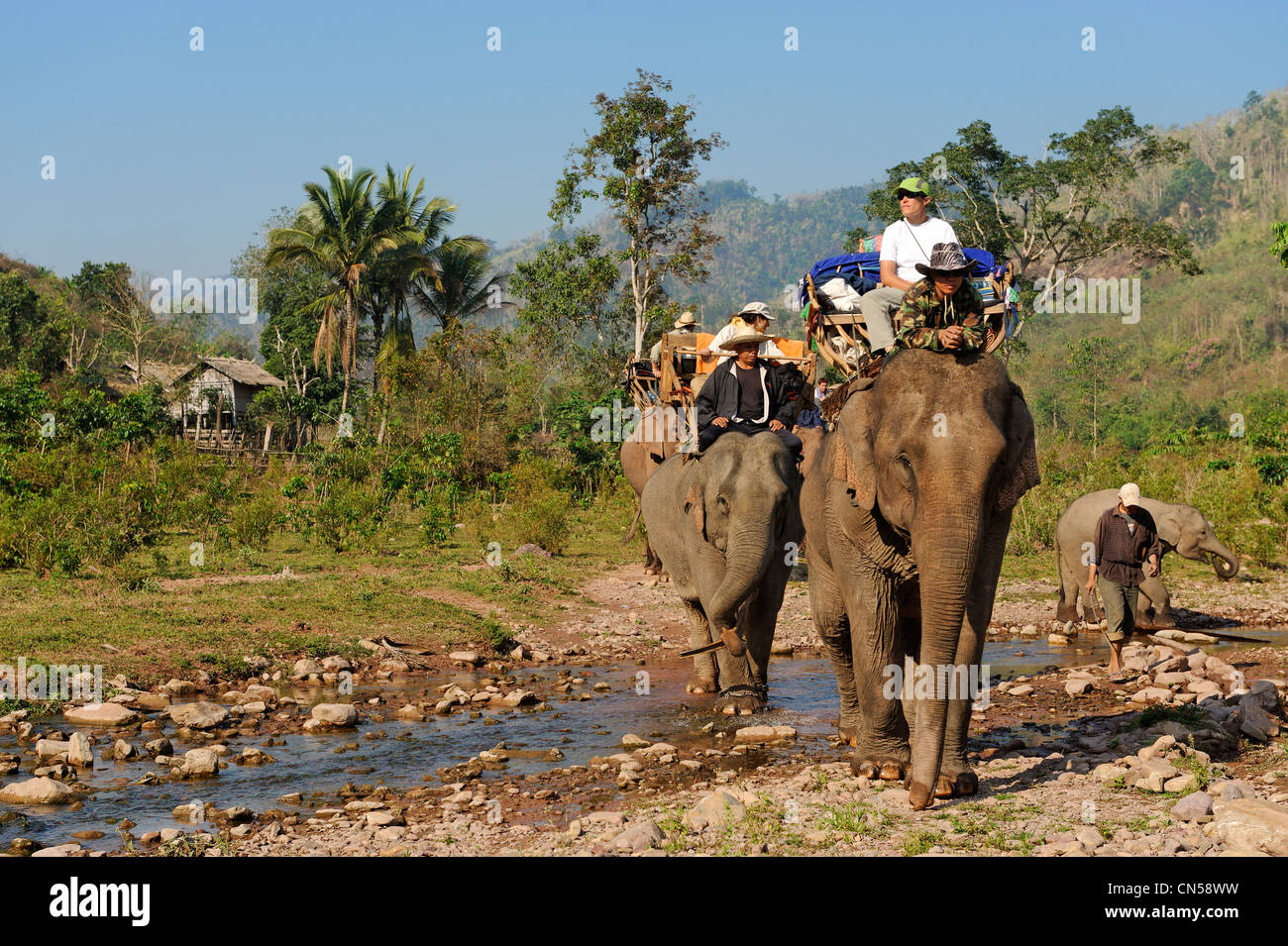 Elephant palanquin hi-res stock photography and images - Alamy