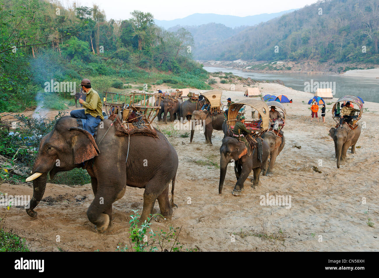 Caravan of elephants laos hi-res stock photography and images - Alamy