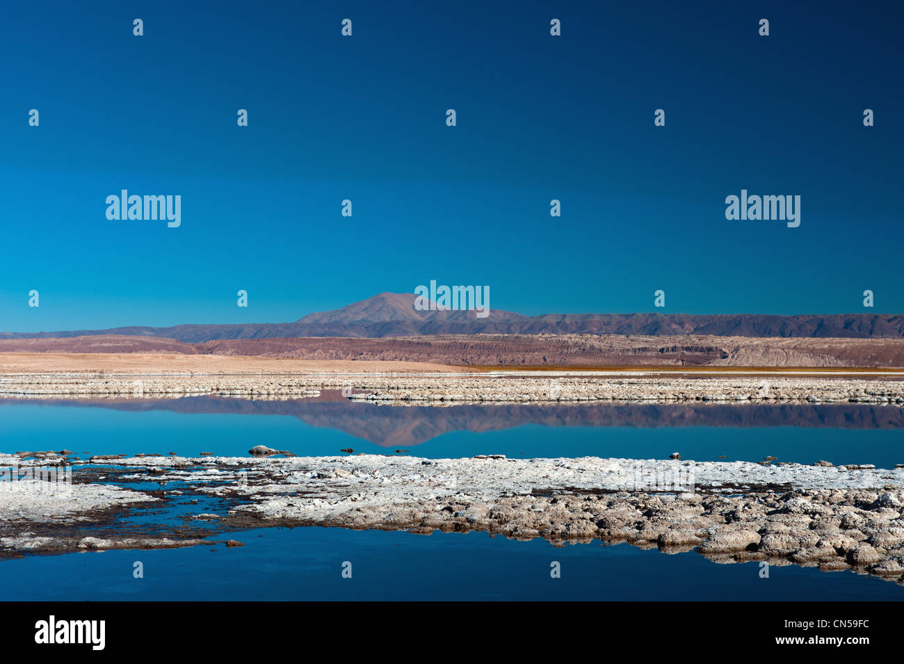 Chile, Antofagasta Region, Atacama Desert, Salar de Atacama, Laguna ...