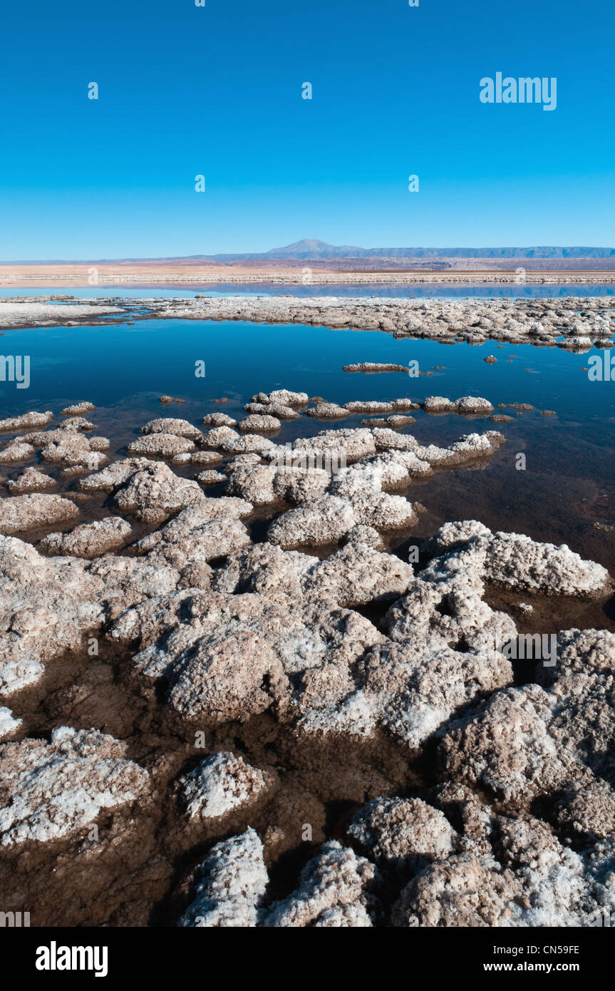 Chile, Antofagasta Region, Atacama Desert, Salar de Atacama, Laguna ...