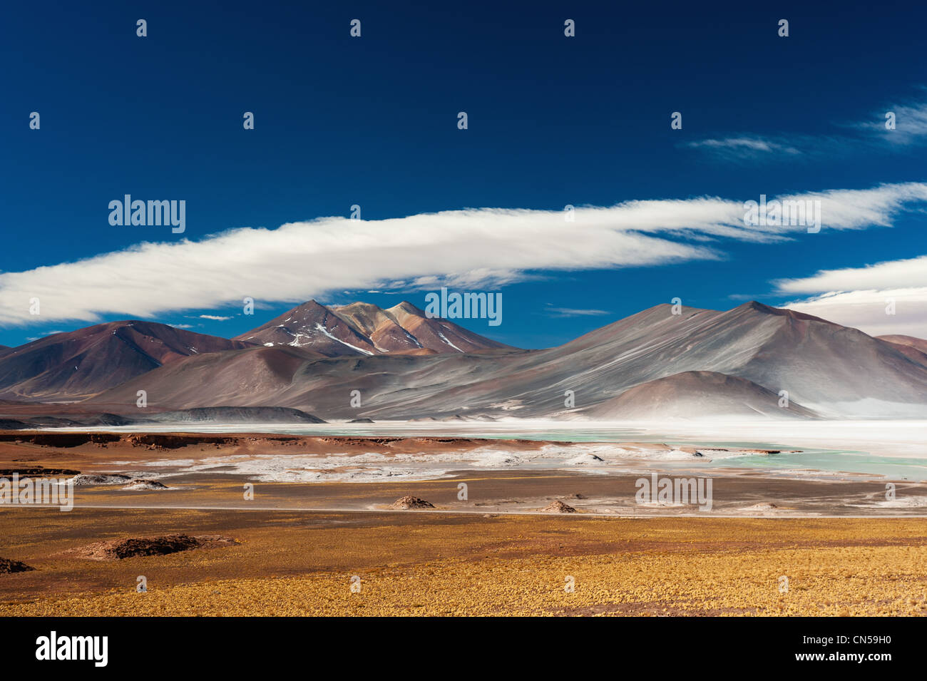 Chile, Antofagasta Region, Atacama Desert, Salar de Talar Stock Photo ...