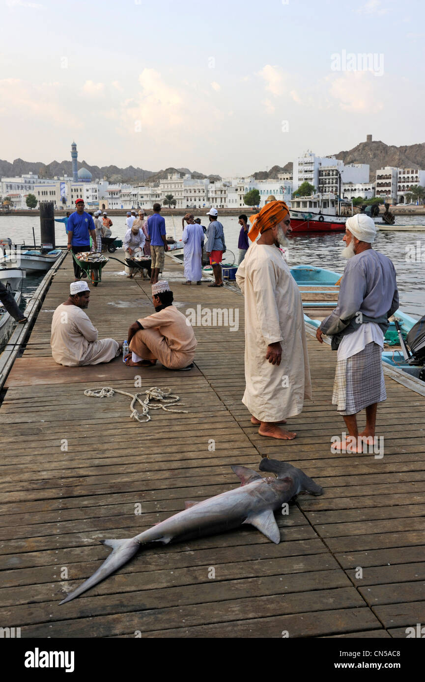 Sultanate of Oman, Muscat, Muttrah corniche, fish market, Hammerhead ...