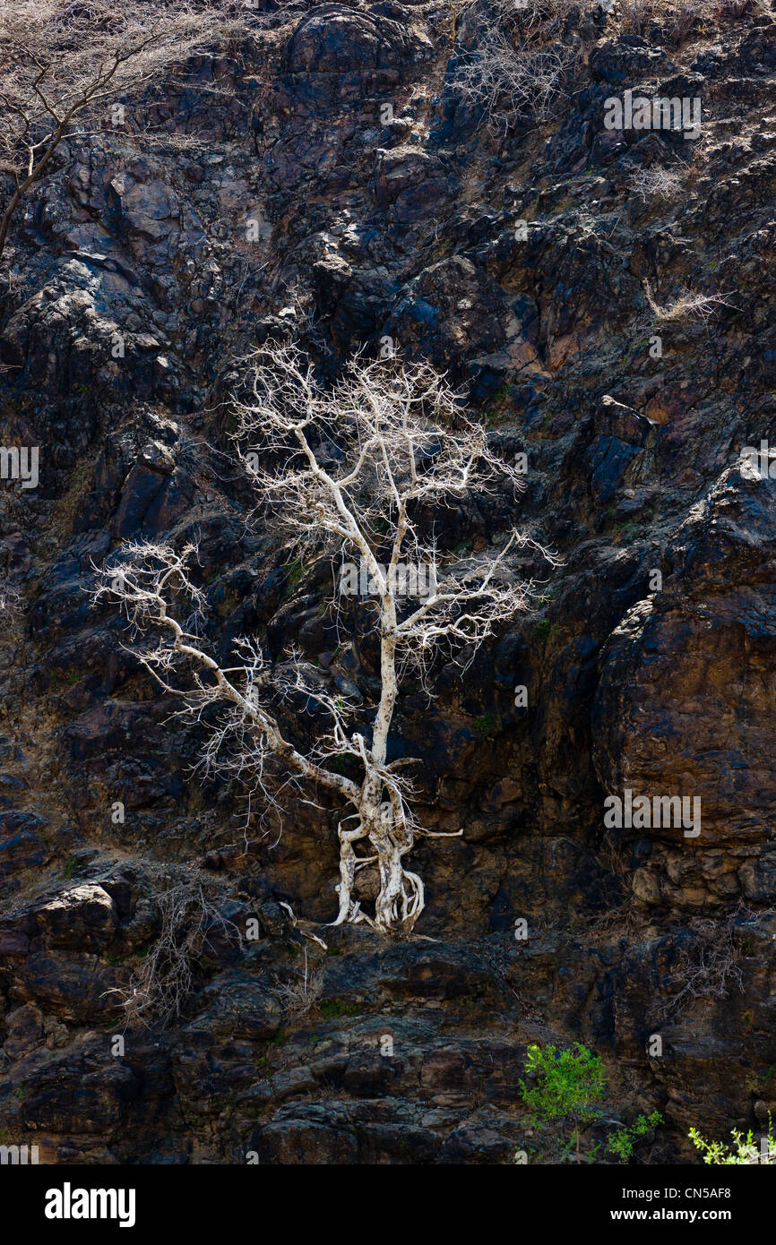 Great rift valley landscape hi-res stock photography and images - Alamy