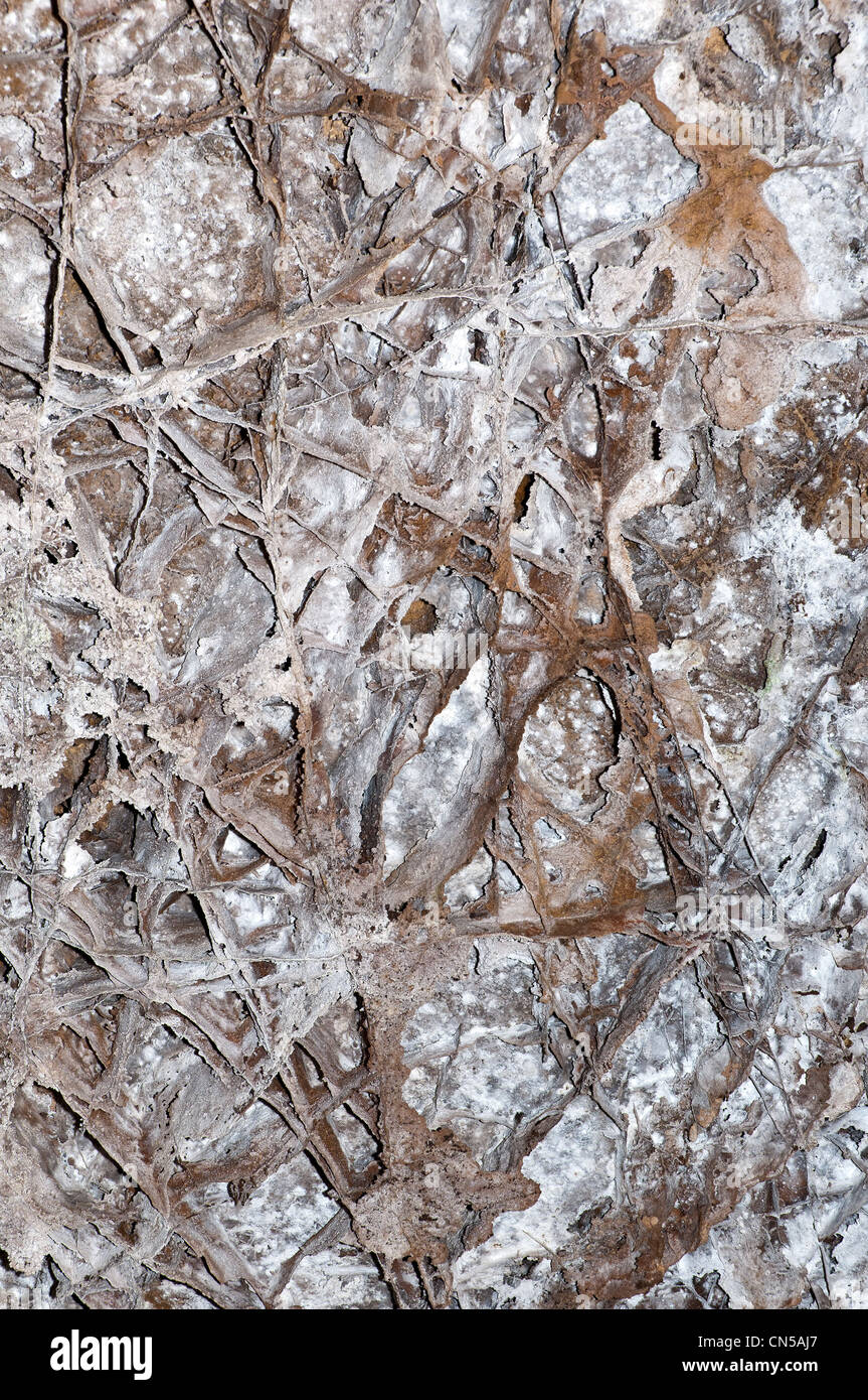Wind cave south dakota inside hi-res stock photography and images - Alamy