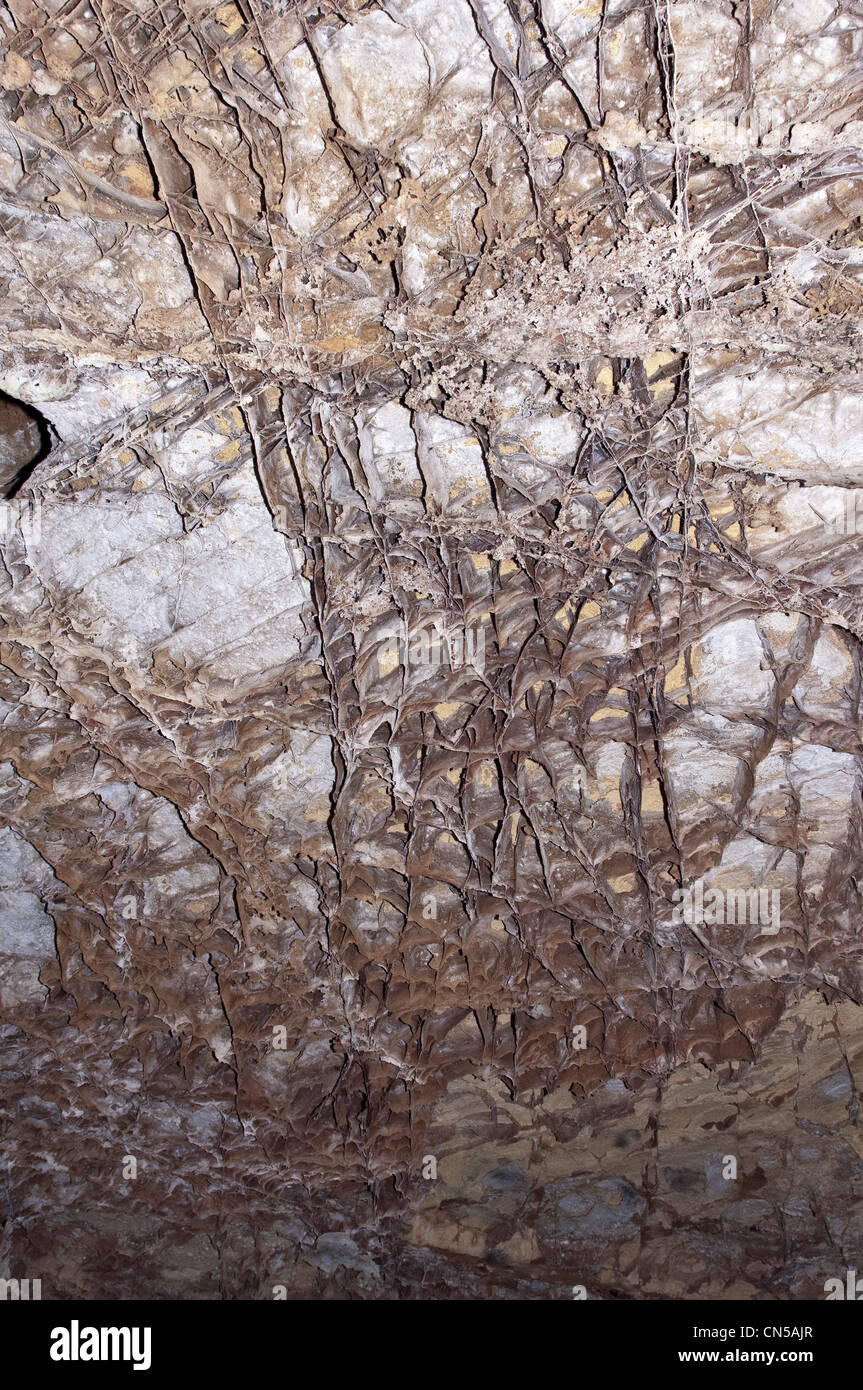 Inside the cave, Wind Cave National Park, Black Hills, South Dakota ...