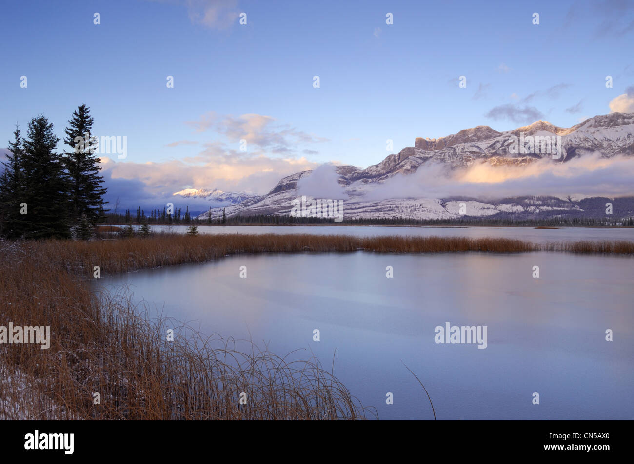 Miette range talbot lake winter hi-res stock photography and images - Alamy