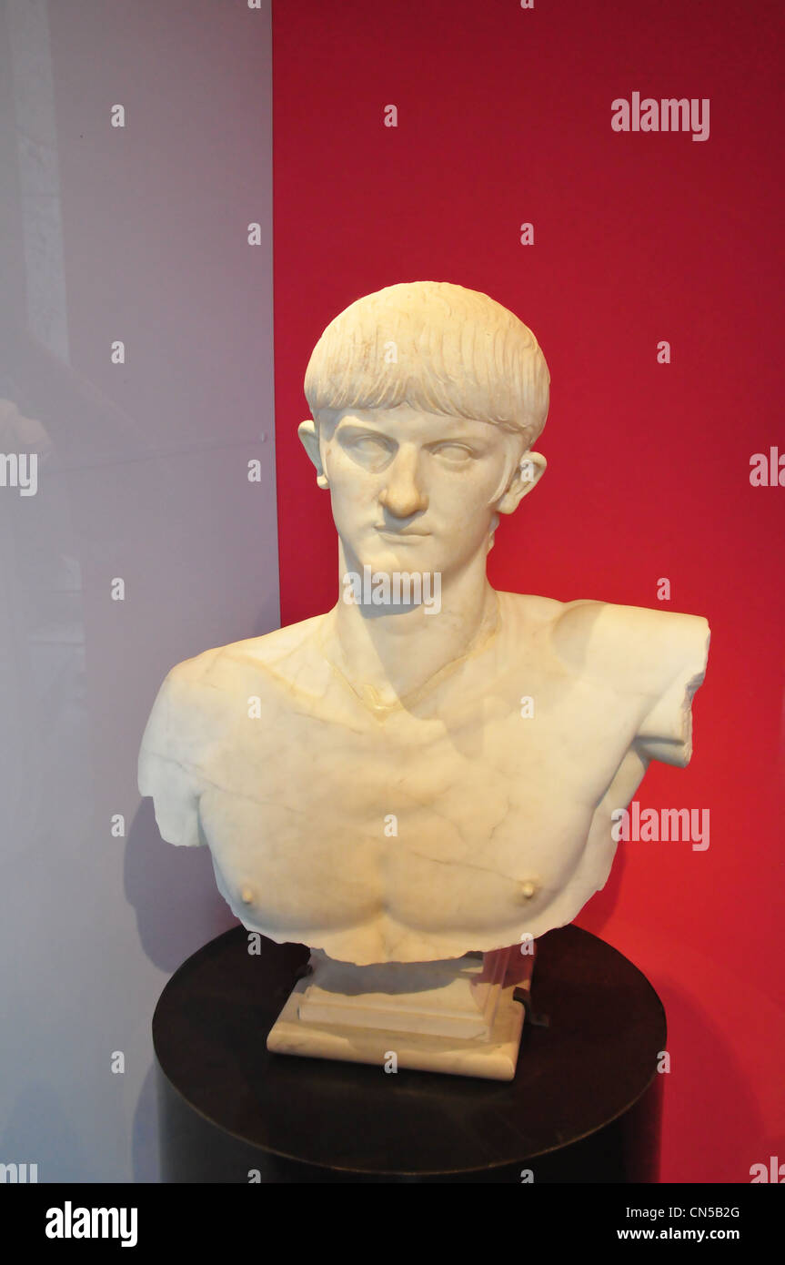 The Colosseum Rome Stock Photo - Alamy