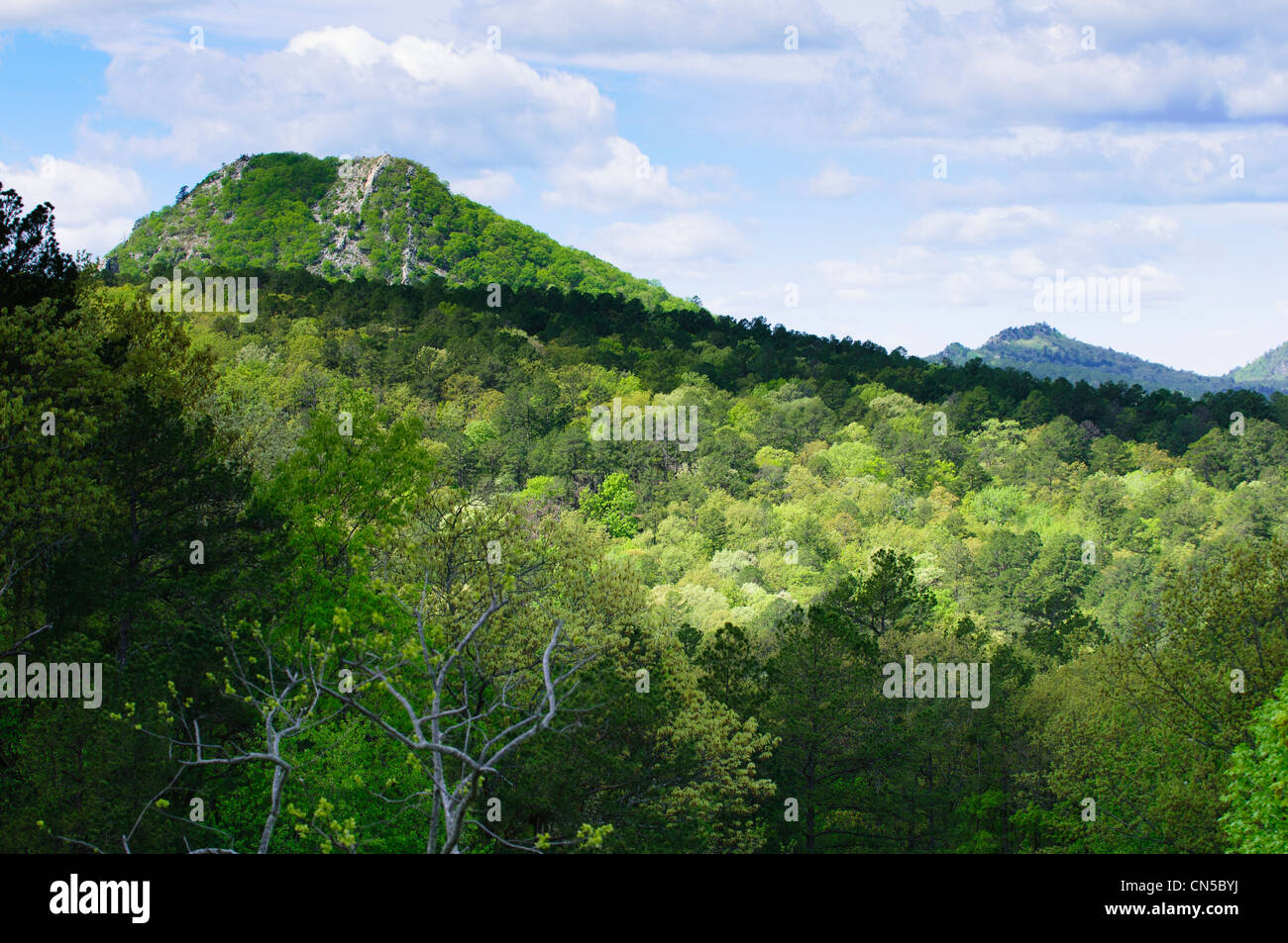 Pinnacle Mountain Playground At