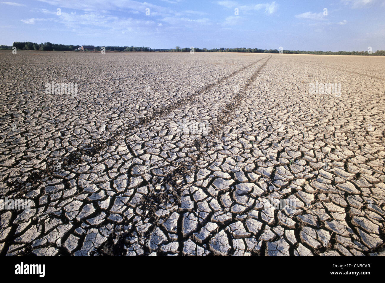 Farmland affected by Drought Stock Photo - Alamy