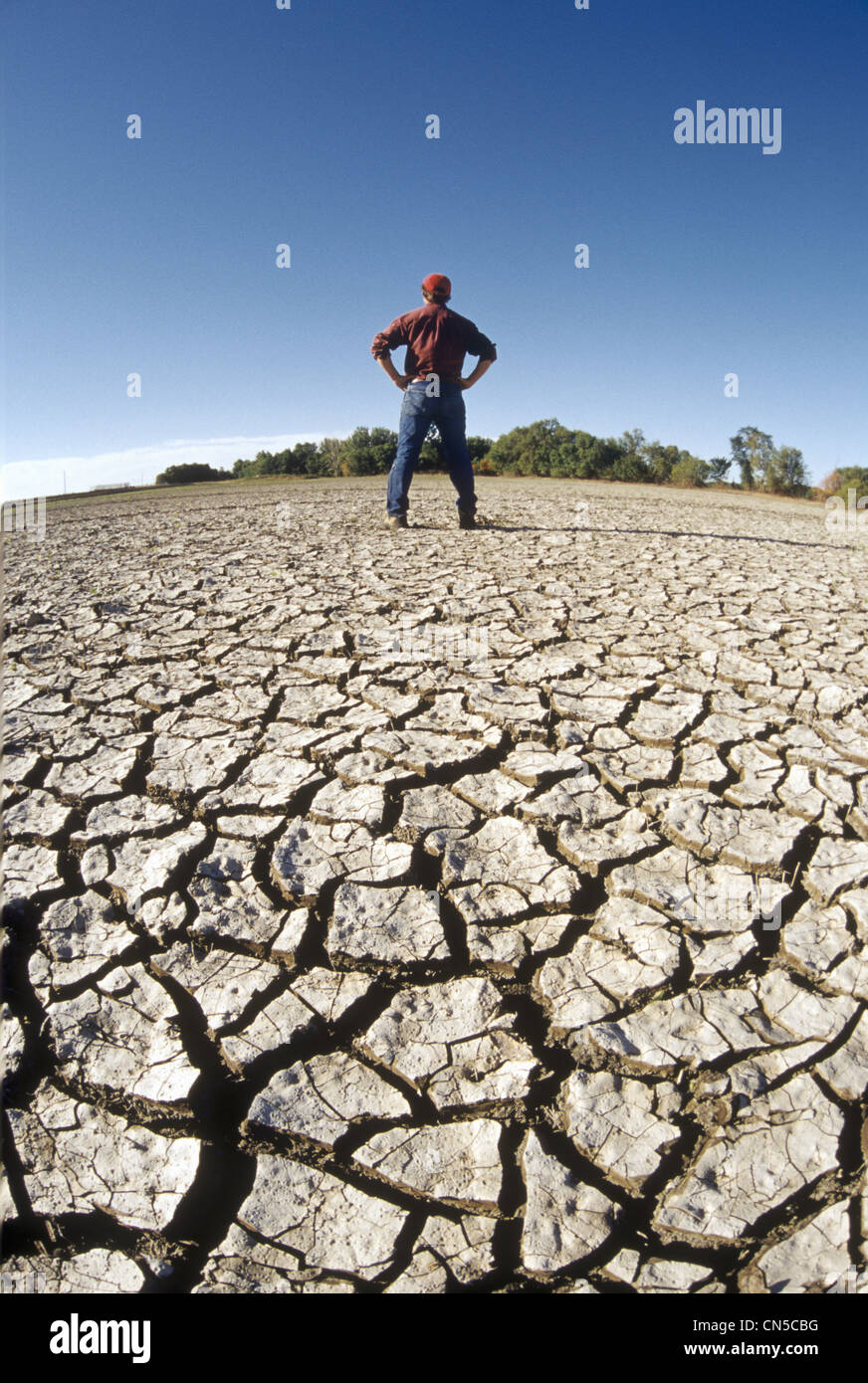 Farmer on land affected by Drought, Red River Valley, Manitoba Stock ...