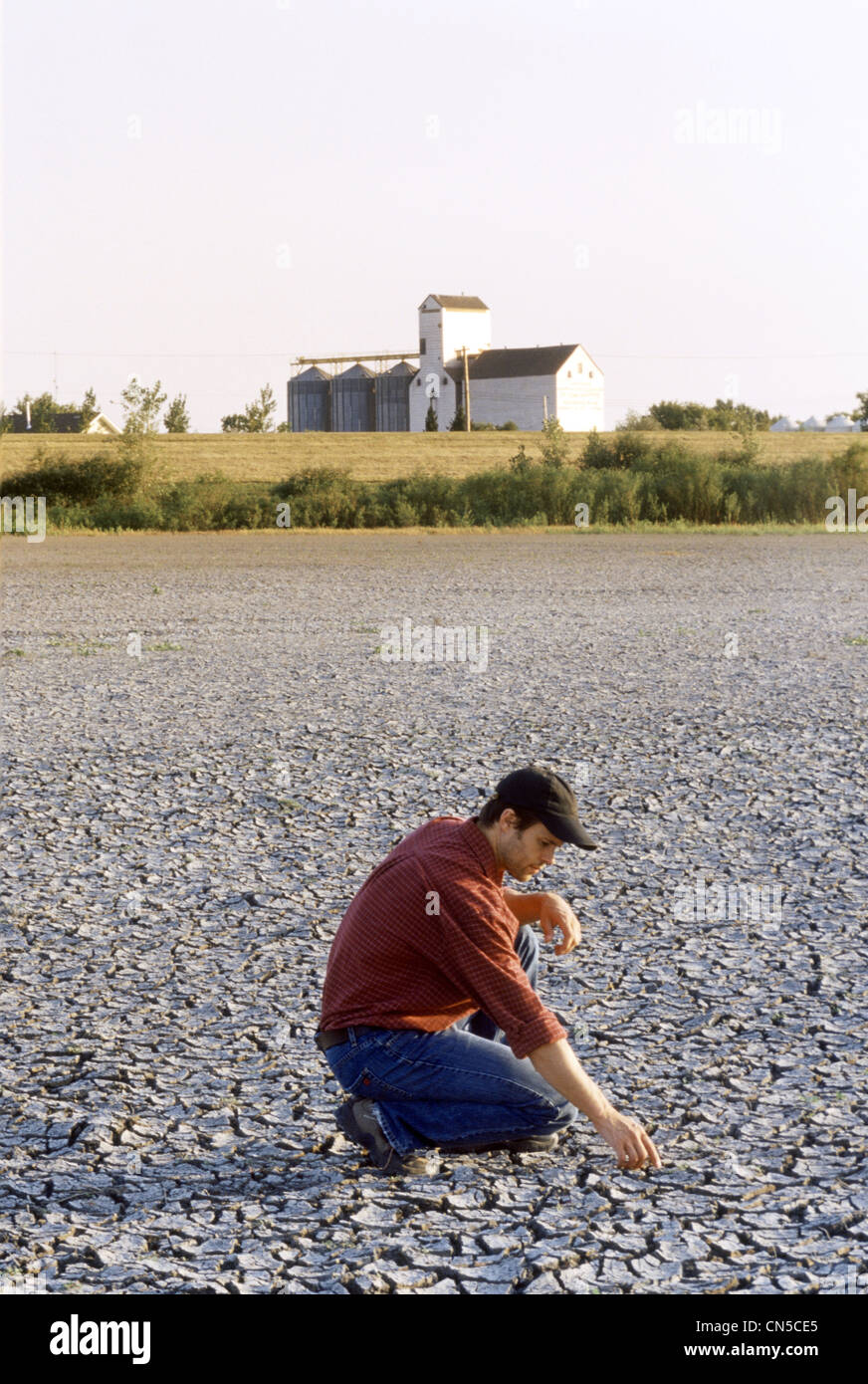 Farmer on land affected by Drought, Red River Valley, Manitoba Stock ...