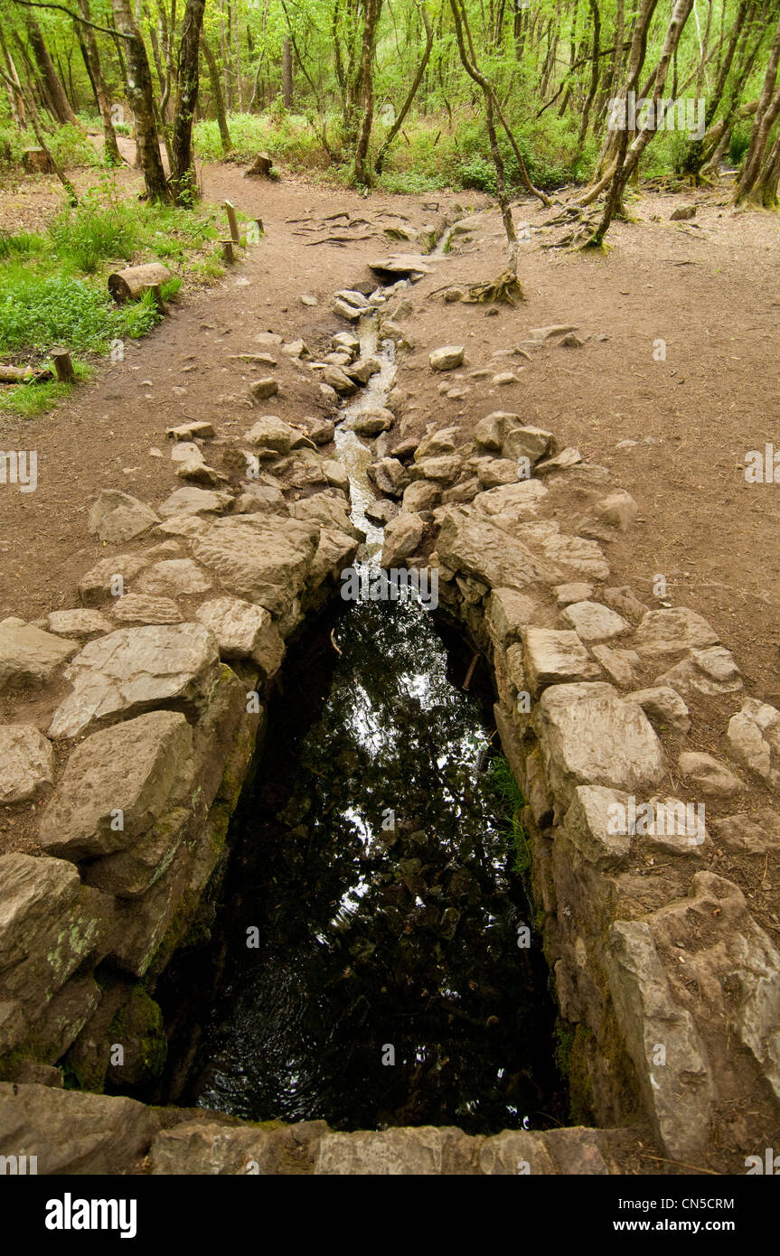 France, Morbihan, Broceliande Forest, fountain of Barenton ...