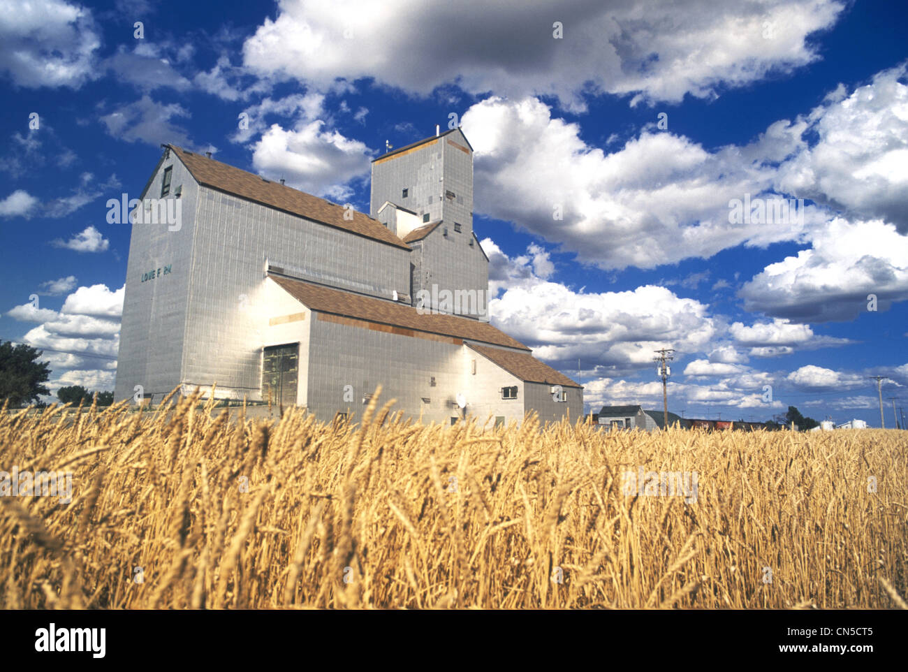 Grain Elevator, Lowe Farm, Manitoba Stock Photo - Alamy