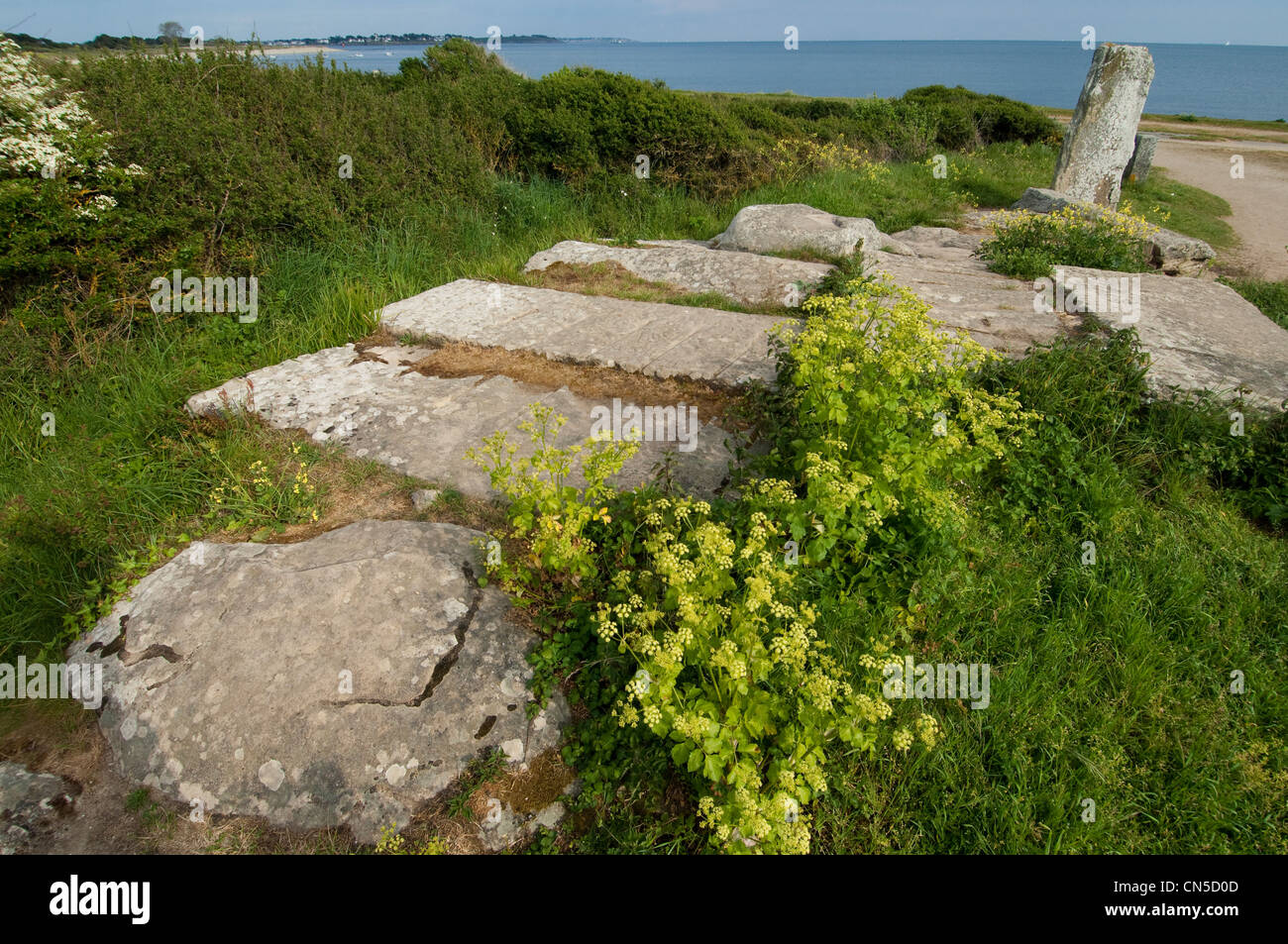 France, Morbihan, Golfe du Morbihan, Locmariaquer, covered alley of the ...