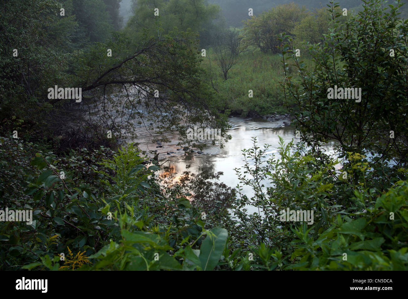 setting sun reflected in river Stock Photo - Alamy