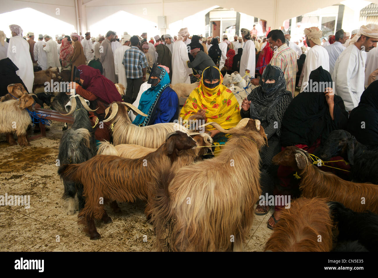 Sultanate oman ash sharqiyah region hi-res stock photography and images ...