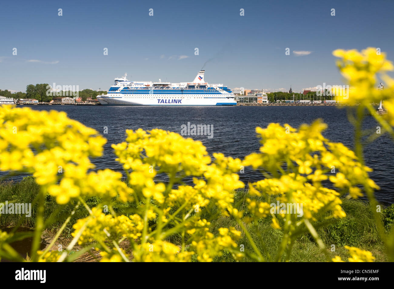 Terminal bloom hi-res stock photography and images - Alamy