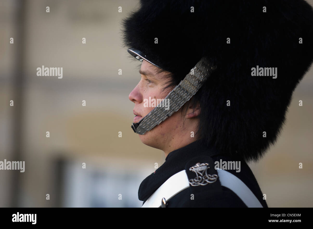 Denmark, Zealand, Copenhagen, Amalienborg palace, changing of the guard ...