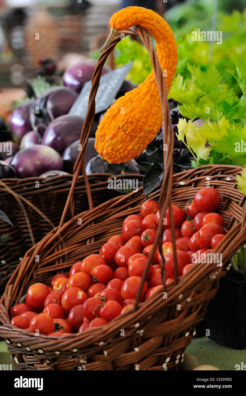 France, bio vegetables, tomatoes Stock Photo - Alamy