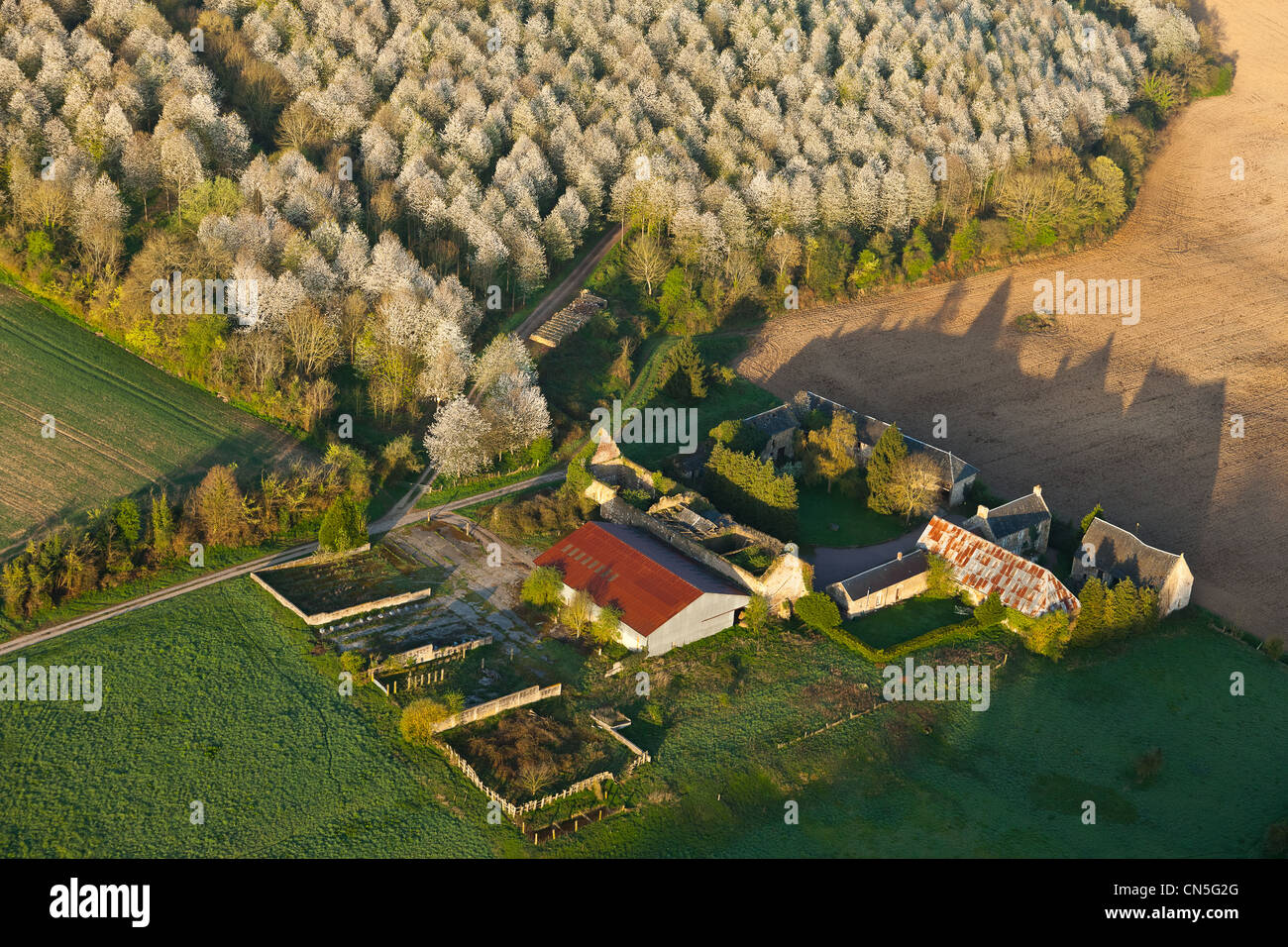 France, Calvados, Swiss Normandy, St Omer, Abbey du Val, cherry ...