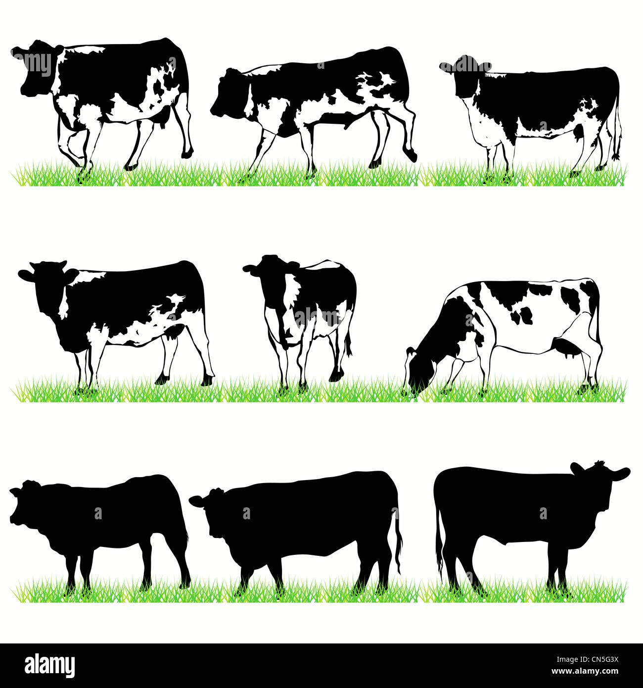 Detailed Cows Silhouettes Set Stock Photo - Alamy