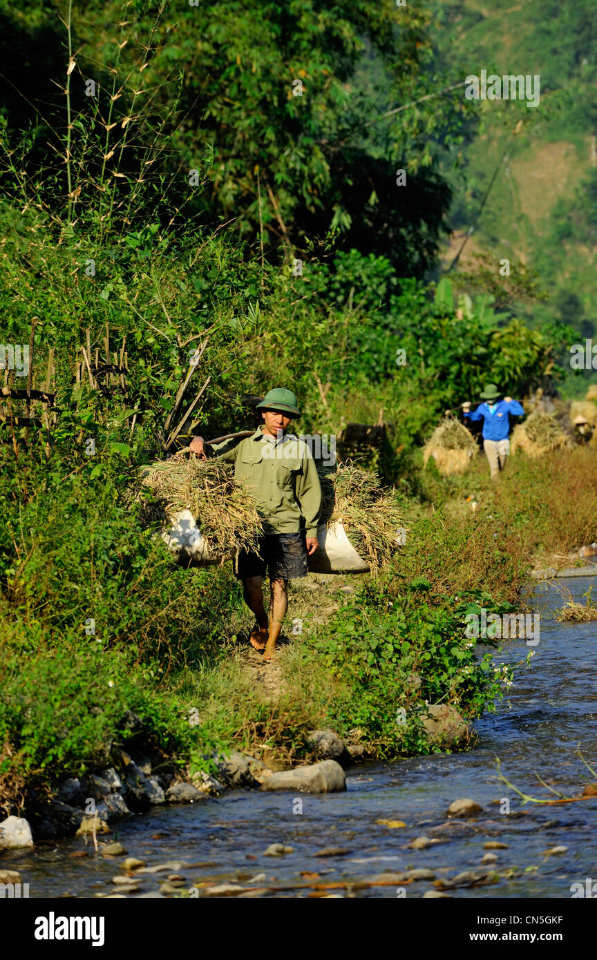 Vietnam, Ninh Binh Province, Cuc Phuong National Park, Ban Ko Muong ...