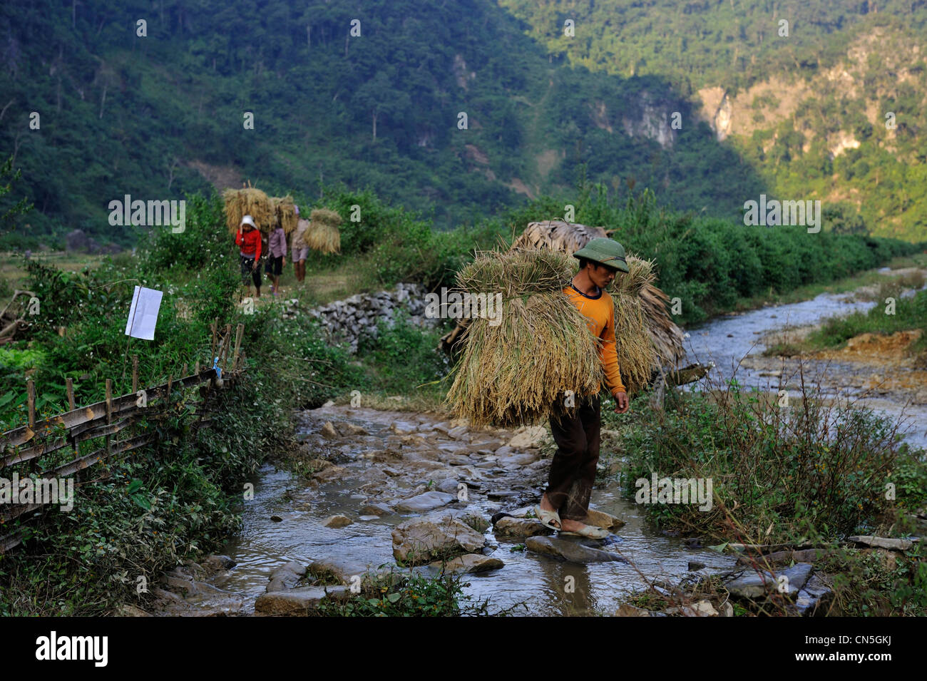 Vietnam, Ninh Binh Province, Cuc Phuong National Park, Ban Ko Muong ...
