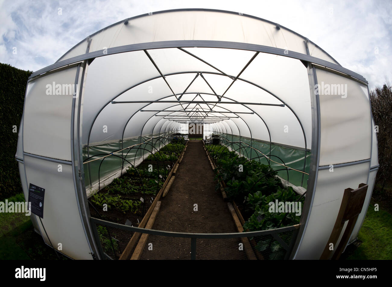 Wide-angle shot of a poly tunnel in the Royal Botanic Gardens in ...